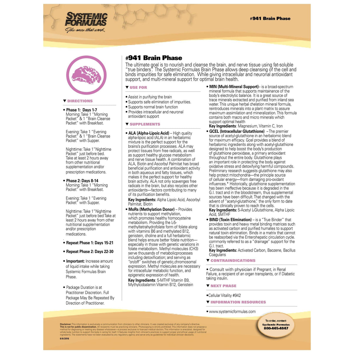 Brain Phase – Shop Vibrant Life